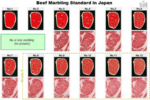 How Much Is a Wagyu Steak? Why is Wagyu So Expensive?